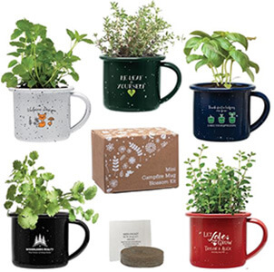 10 Best College Fair Giveaways That Will Set You Apart (Updated 2024)